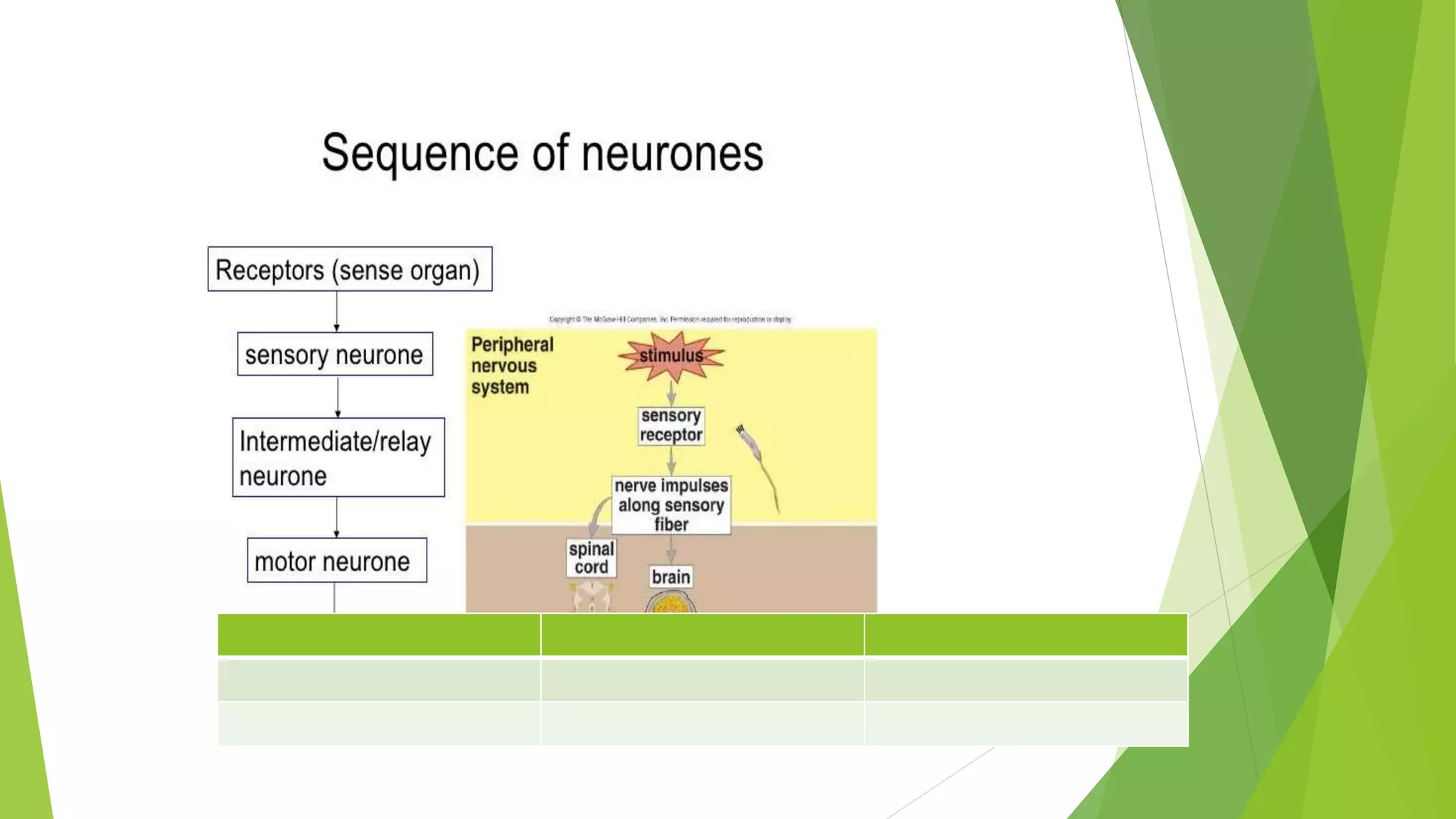 Neural_control_of_animal_behaviour[1]789.pptx