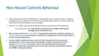 Neural_control_of_animal_behaviour[1]789.pptx