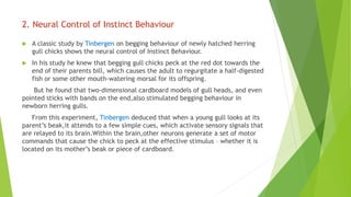 Neural_control_of_animal_behaviour[1]789.pptx