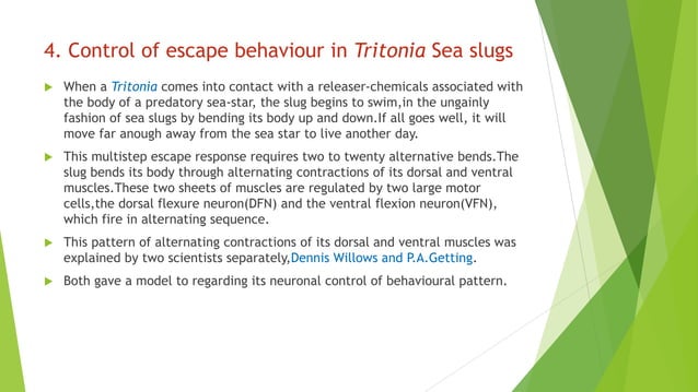 Neural_control_of_animal_behaviour[1]789.pptx