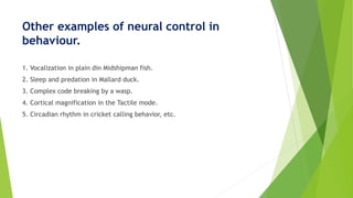 Neural_control_of_animal_behaviour[1]789.pptx