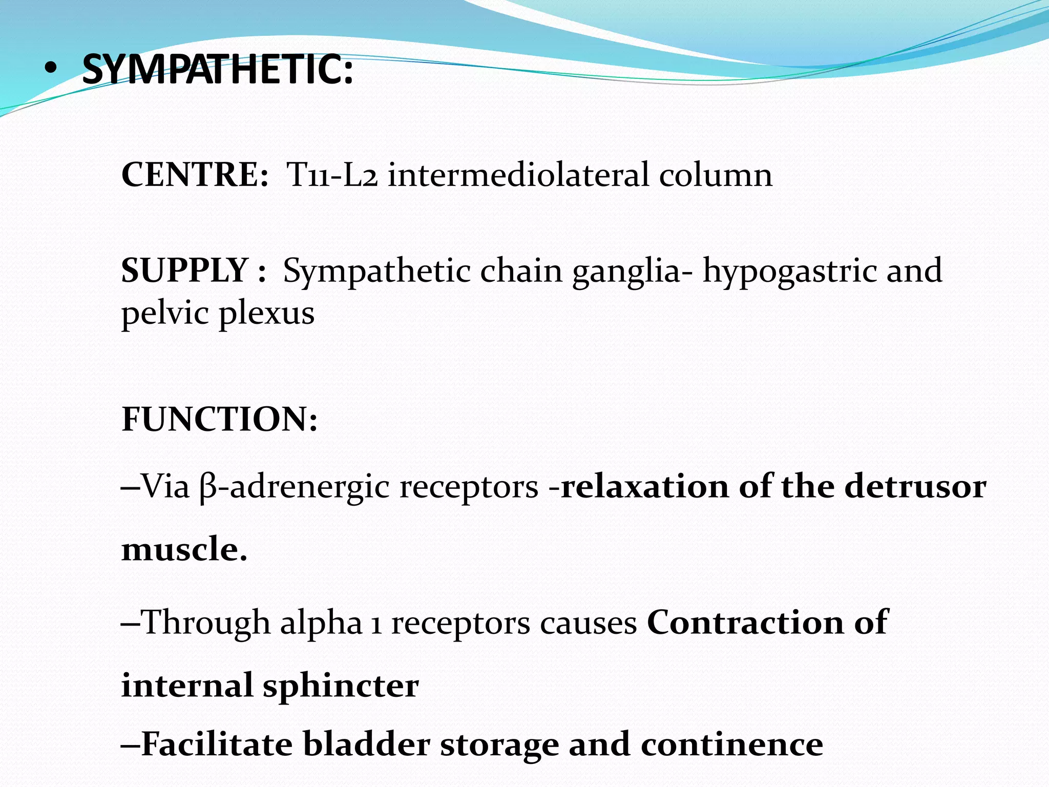 Neural control of bladder | PPTX