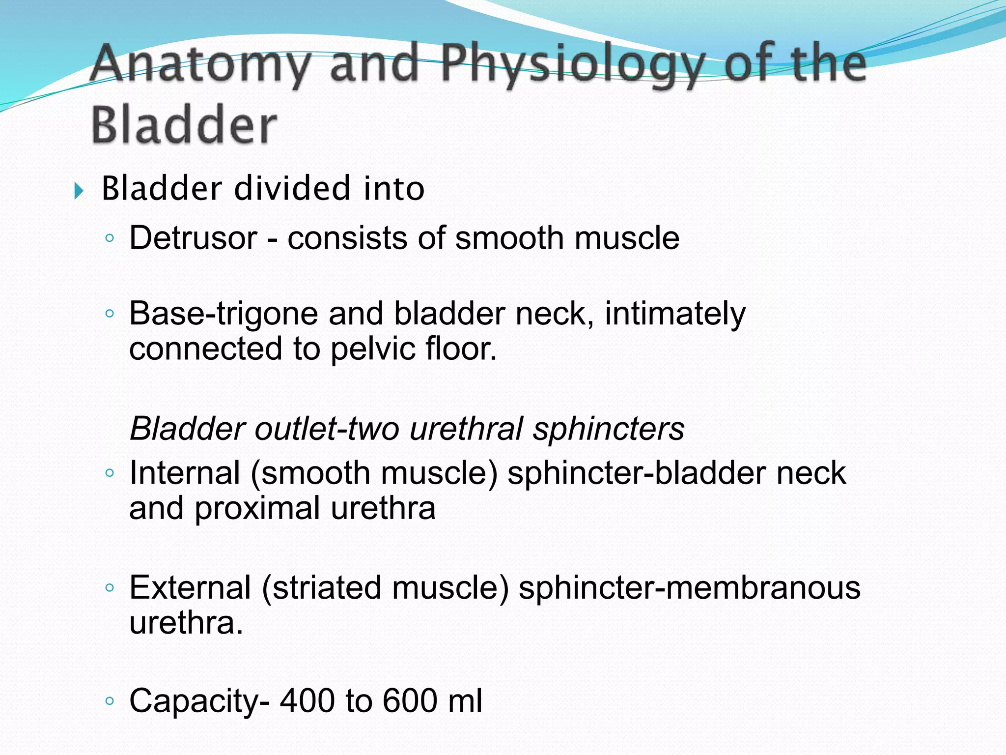 Neural control of bladder | PPTX