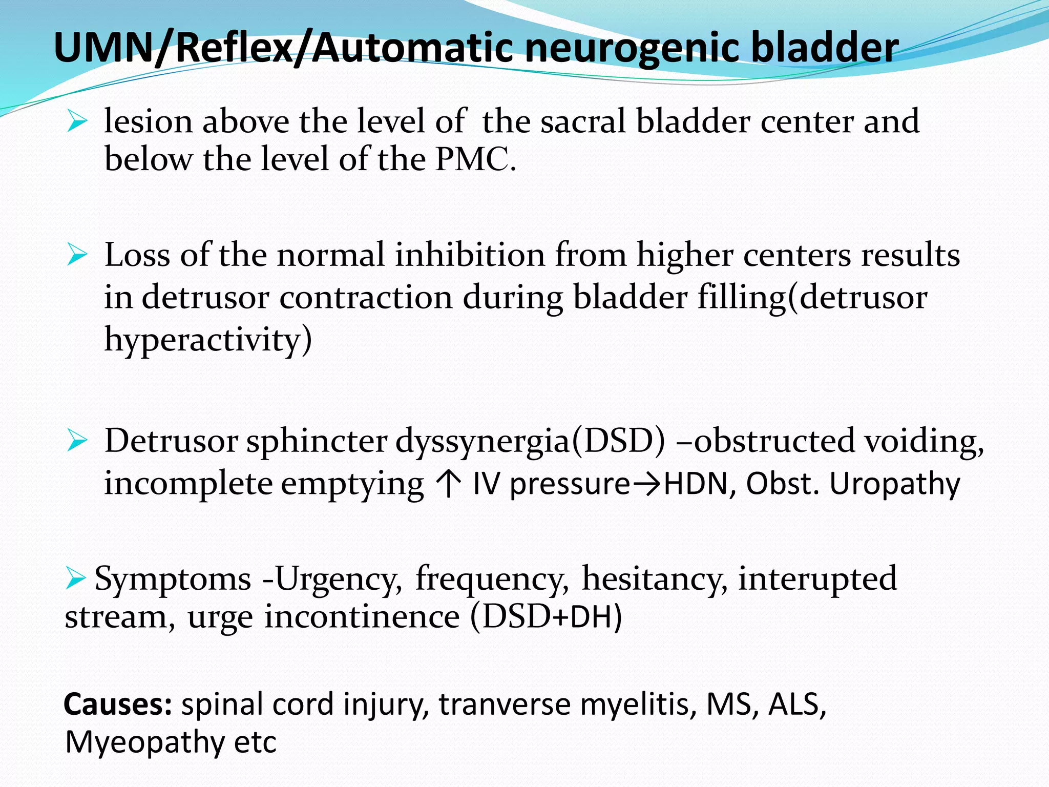 Neural control of bladder | PPTX