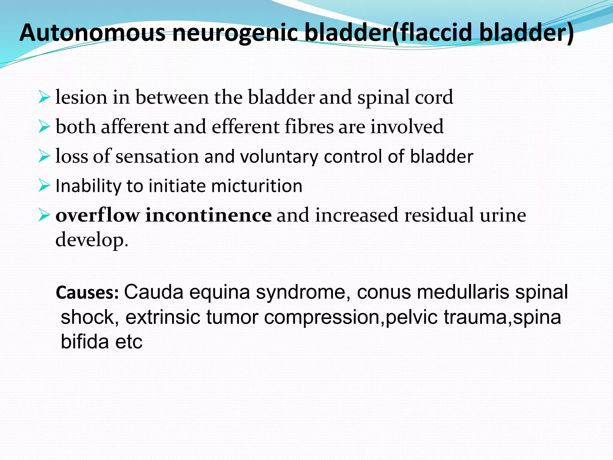 Neural control of bladder | PPTX