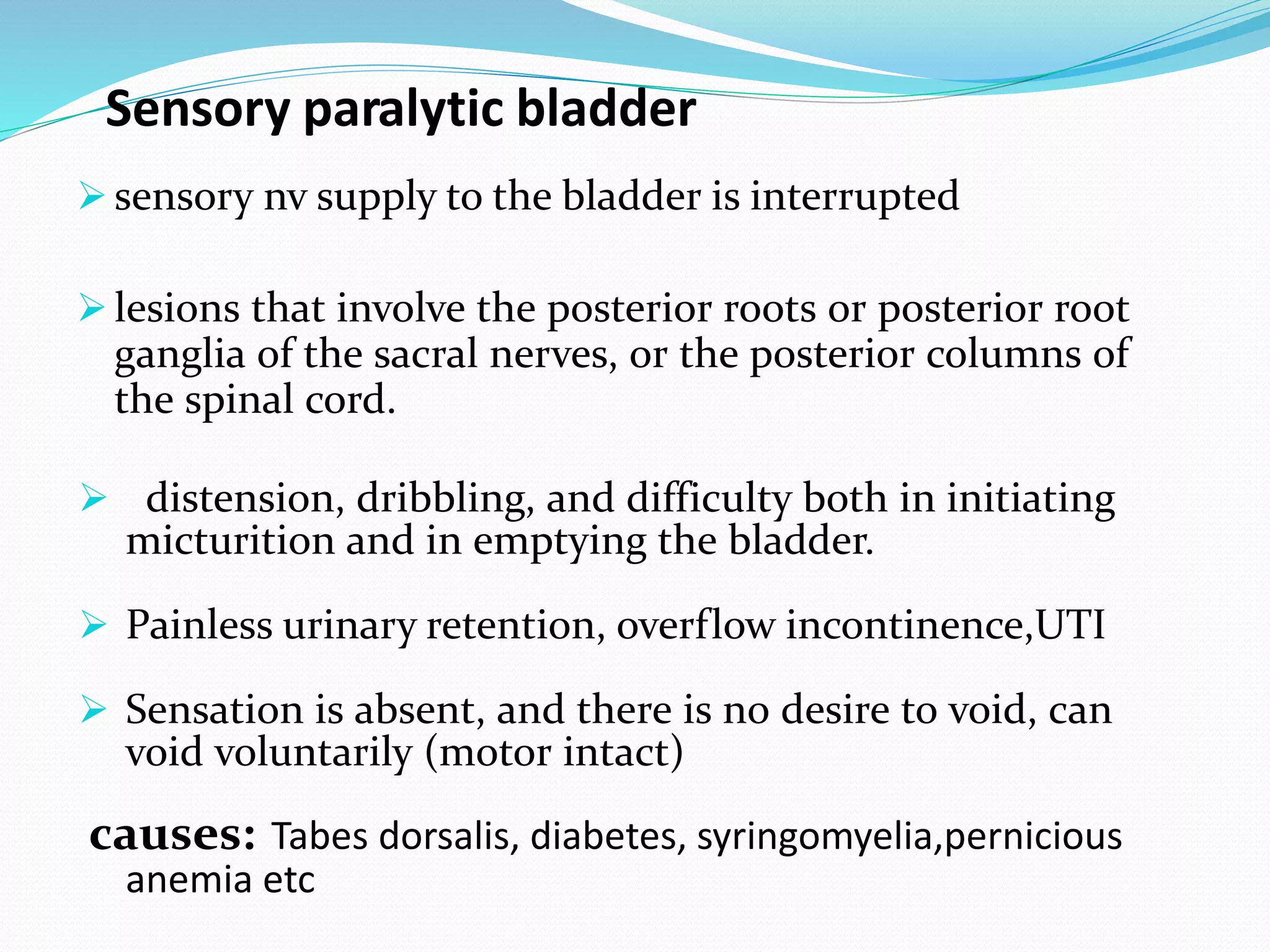 Neural control of bladder | PPTX