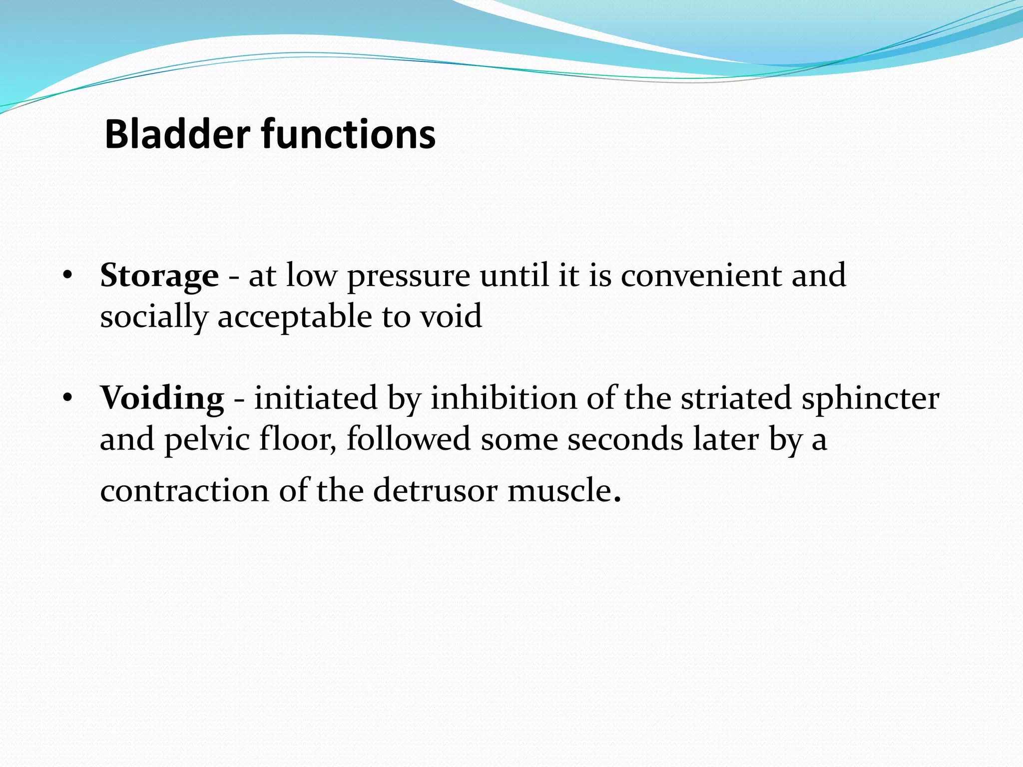 Neural control of bladder | PPTX