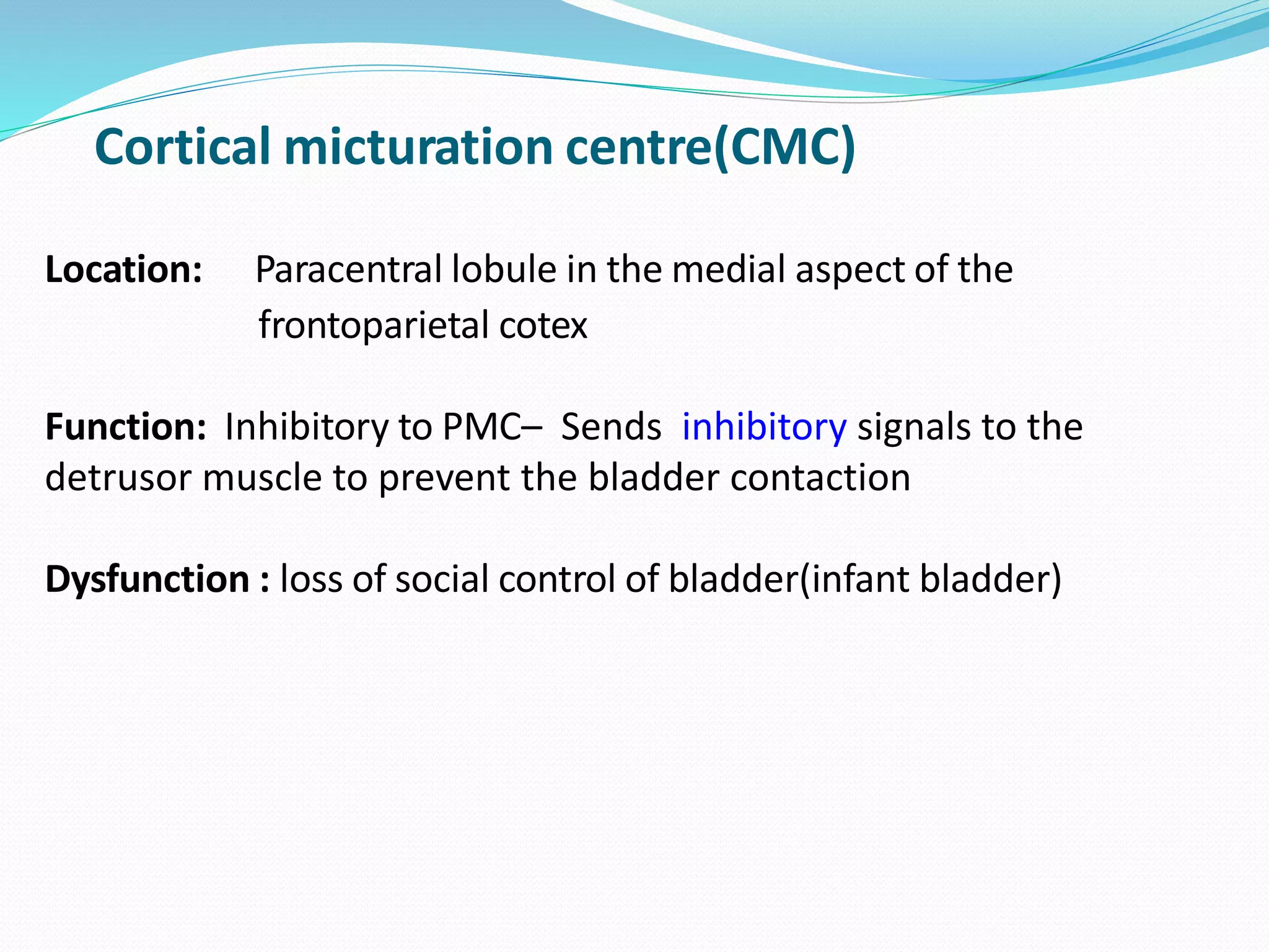 Neural control of bladder | PPTX