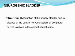 Neural control of bladder | PPTX