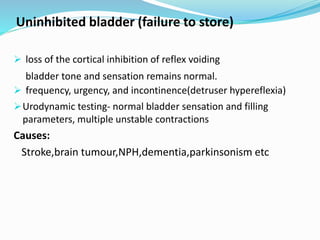 Neural control of bladder | PPTX