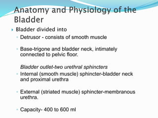 Neural control of bladder | PPTX