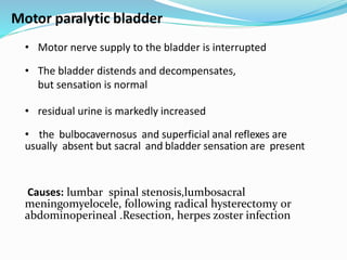Neural control of bladder | PPTX