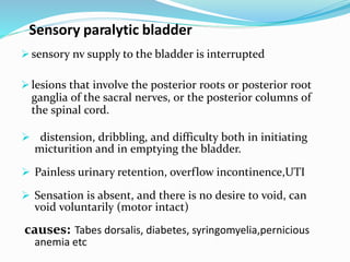 Neural control of bladder | PPTX