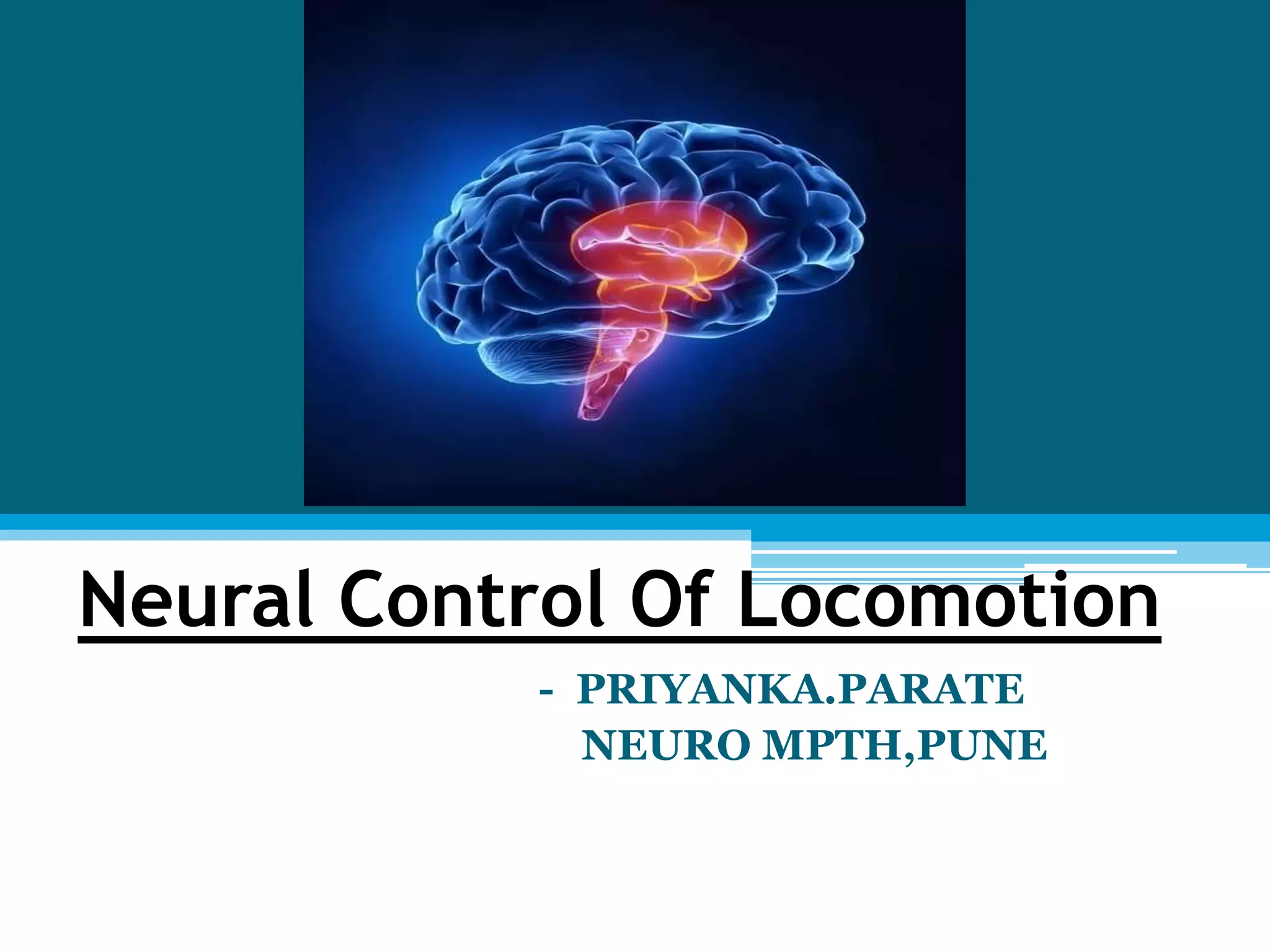 Neural control of locomotion | PPTX