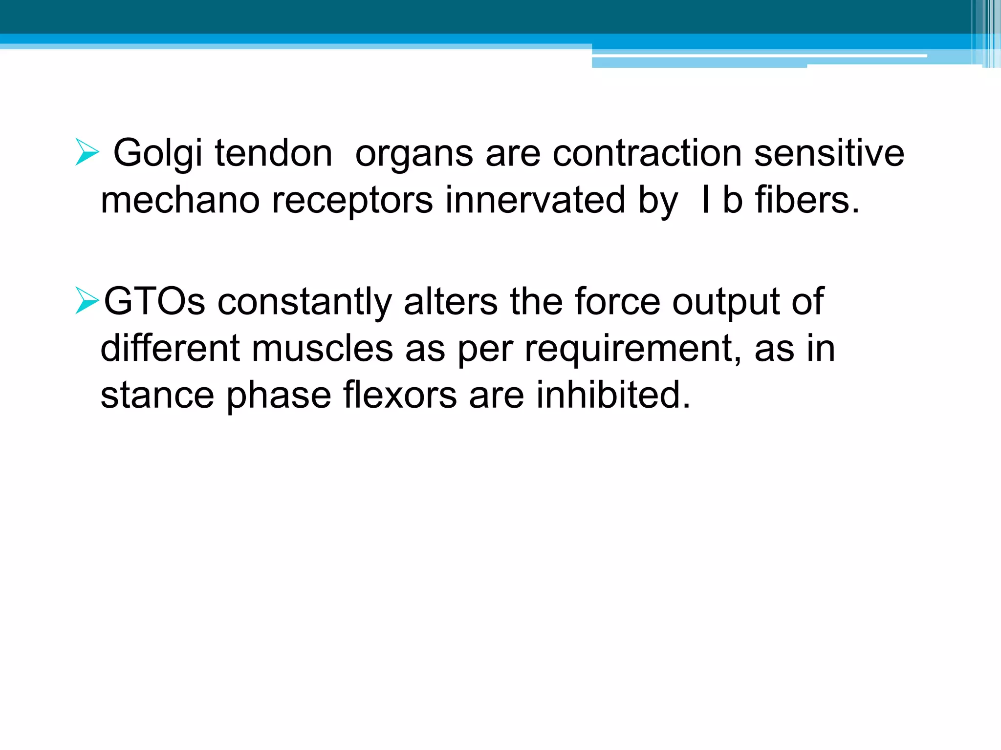 Neural control of locomotion | PPTX