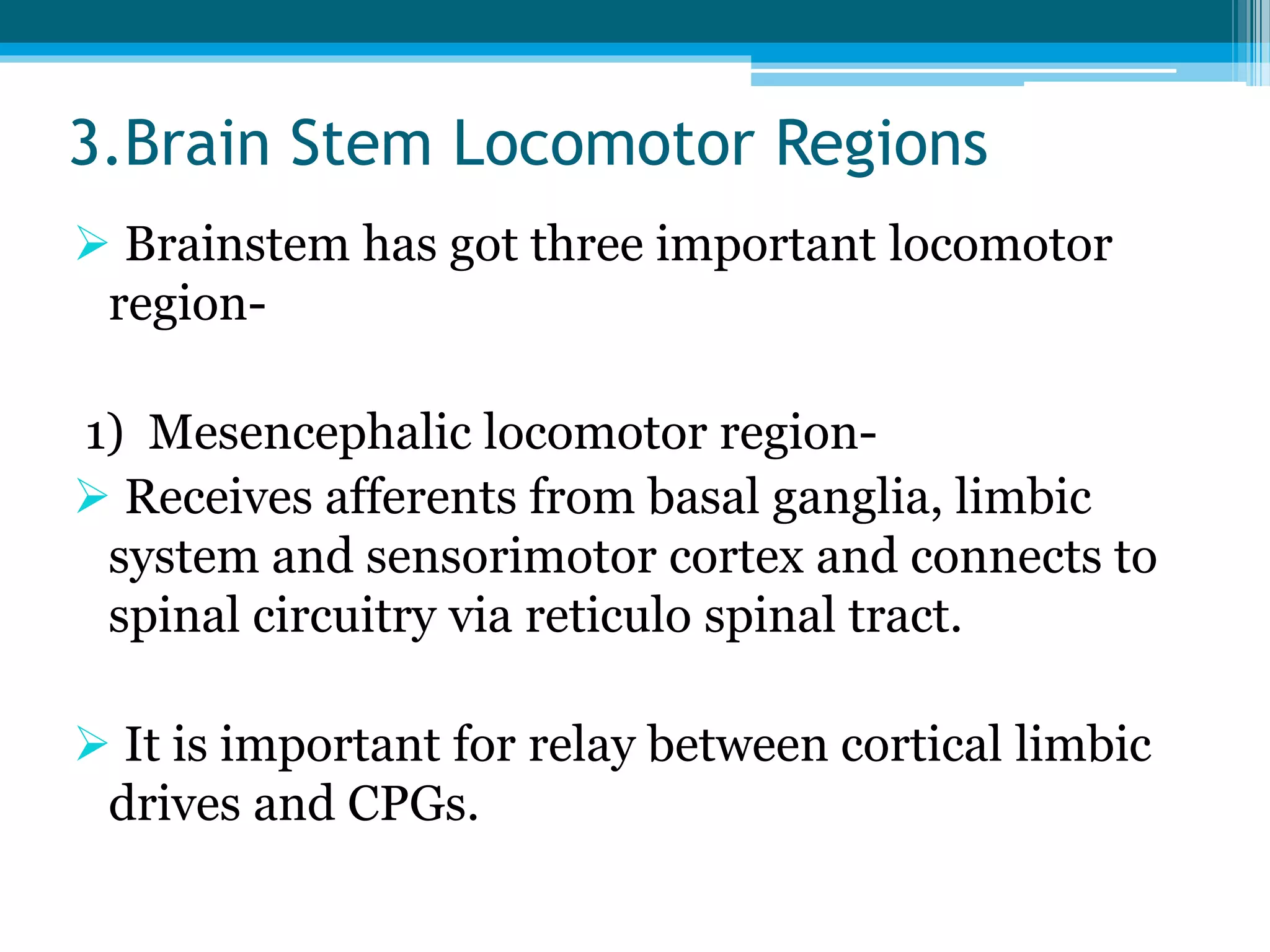 Neural control of locomotion | PPTX