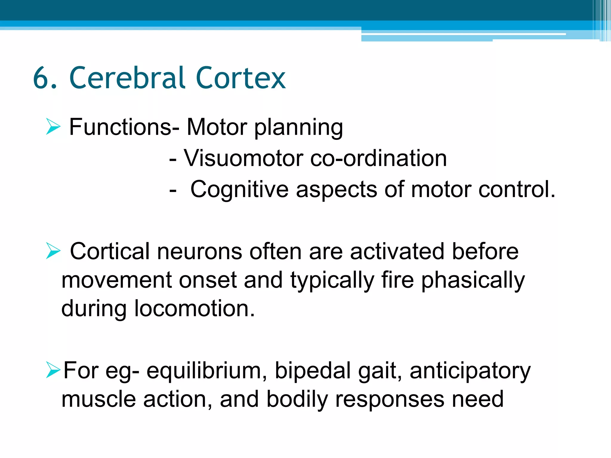 Neural control of locomotion | PPTX