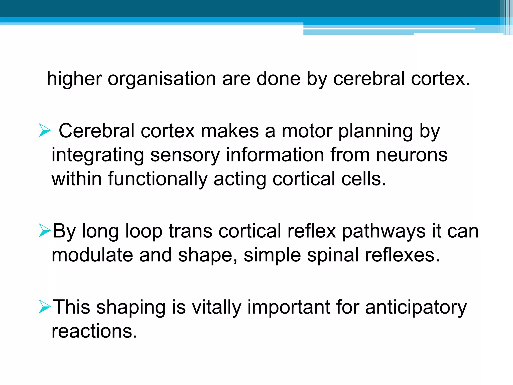 Neural control of locomotion | PPTX