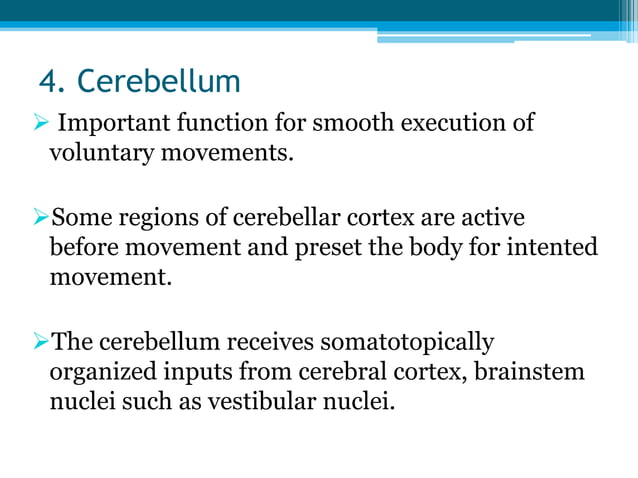 Neural control of locomotion | PPTX | Brain and Nervous System ...