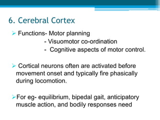 Neural control of locomotion | PPTX
