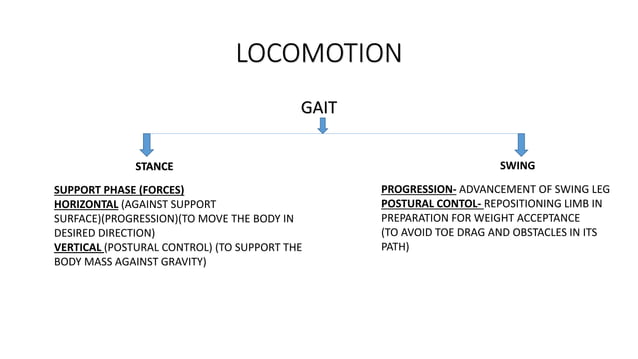 neural control of locomotion.pptx
