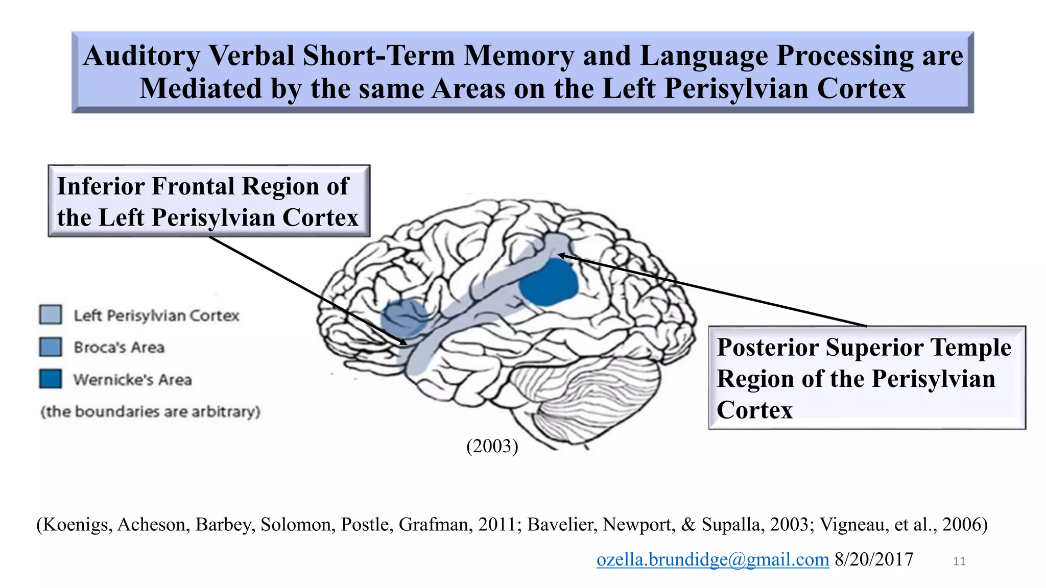 Neural Correlates Of Working Memory Ppt