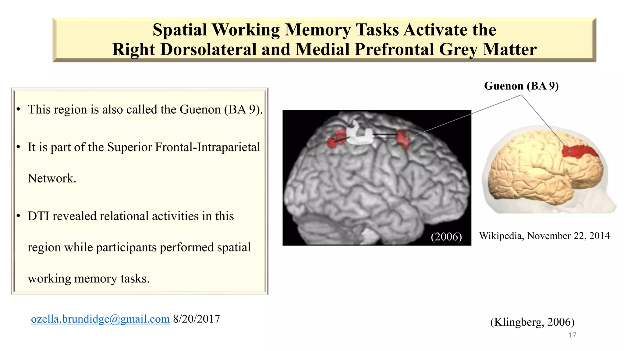 Neural Correlates Of Working Memory Ppt