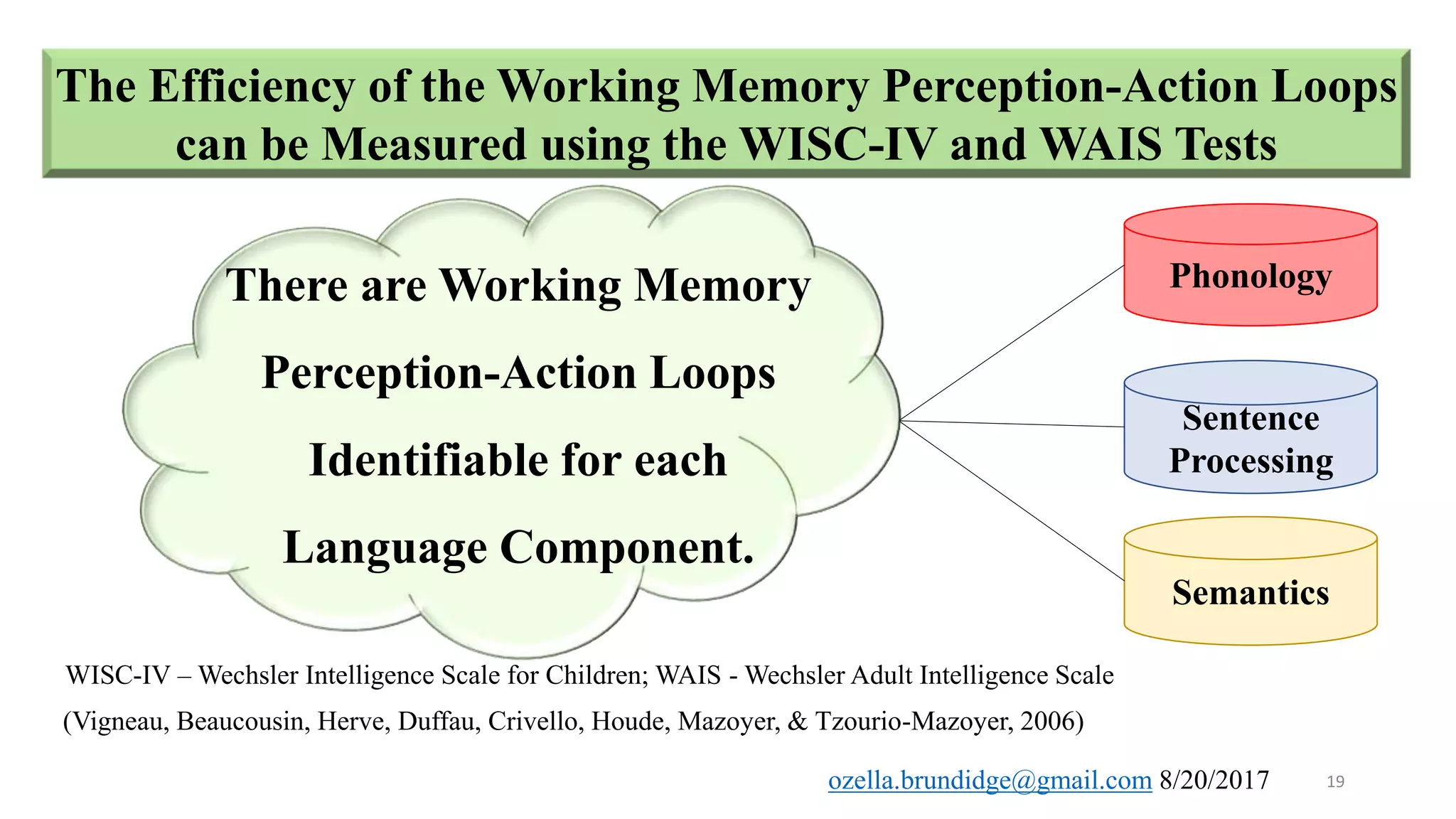 Neural Correlates Of Working Memory Ppt