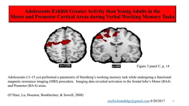 Neural Correlates Of Working Memory Ppt