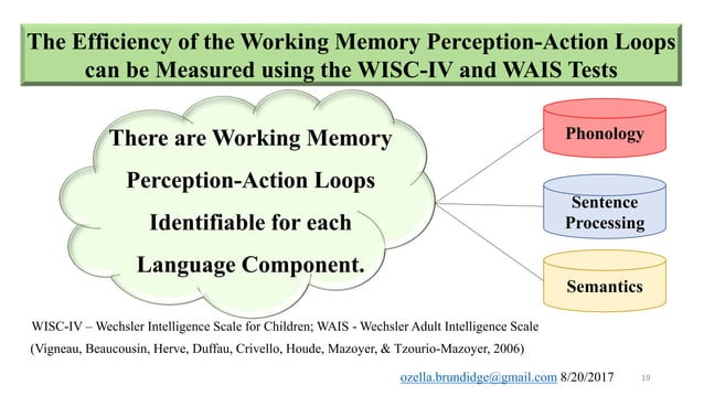 Neural Correlates Of Working Memory Ppt