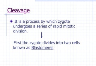 Neural Crest Cells - 1.ppt