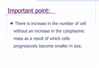 Neural Crest Cells - 1.ppt
