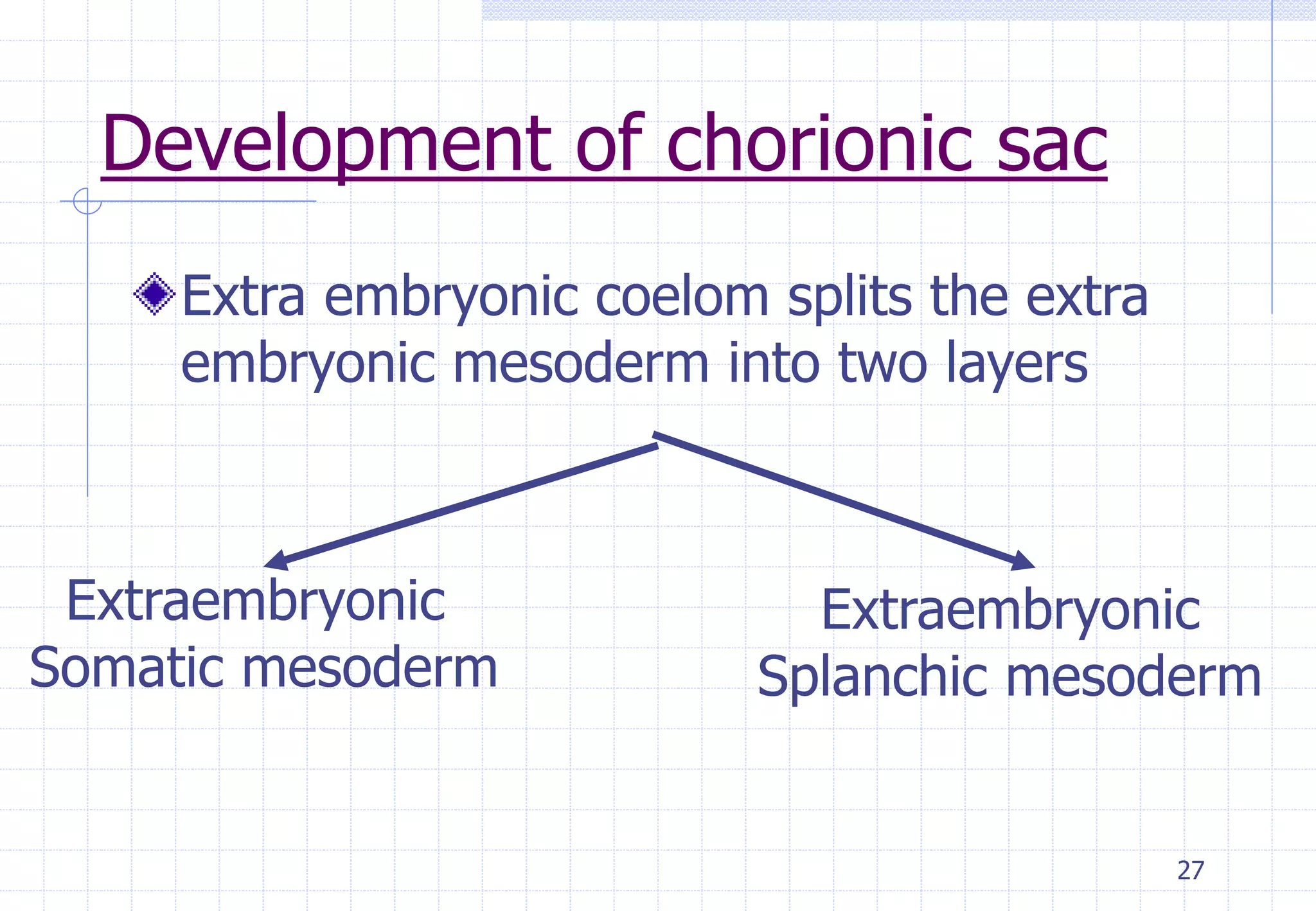 Neural Crest Cells - 1.ppt