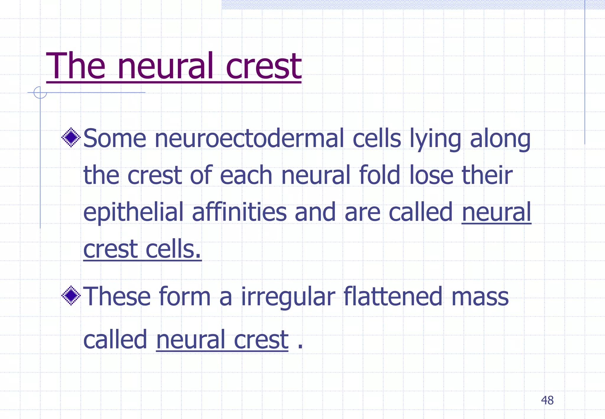 Neural Crest Cells - 1.ppt