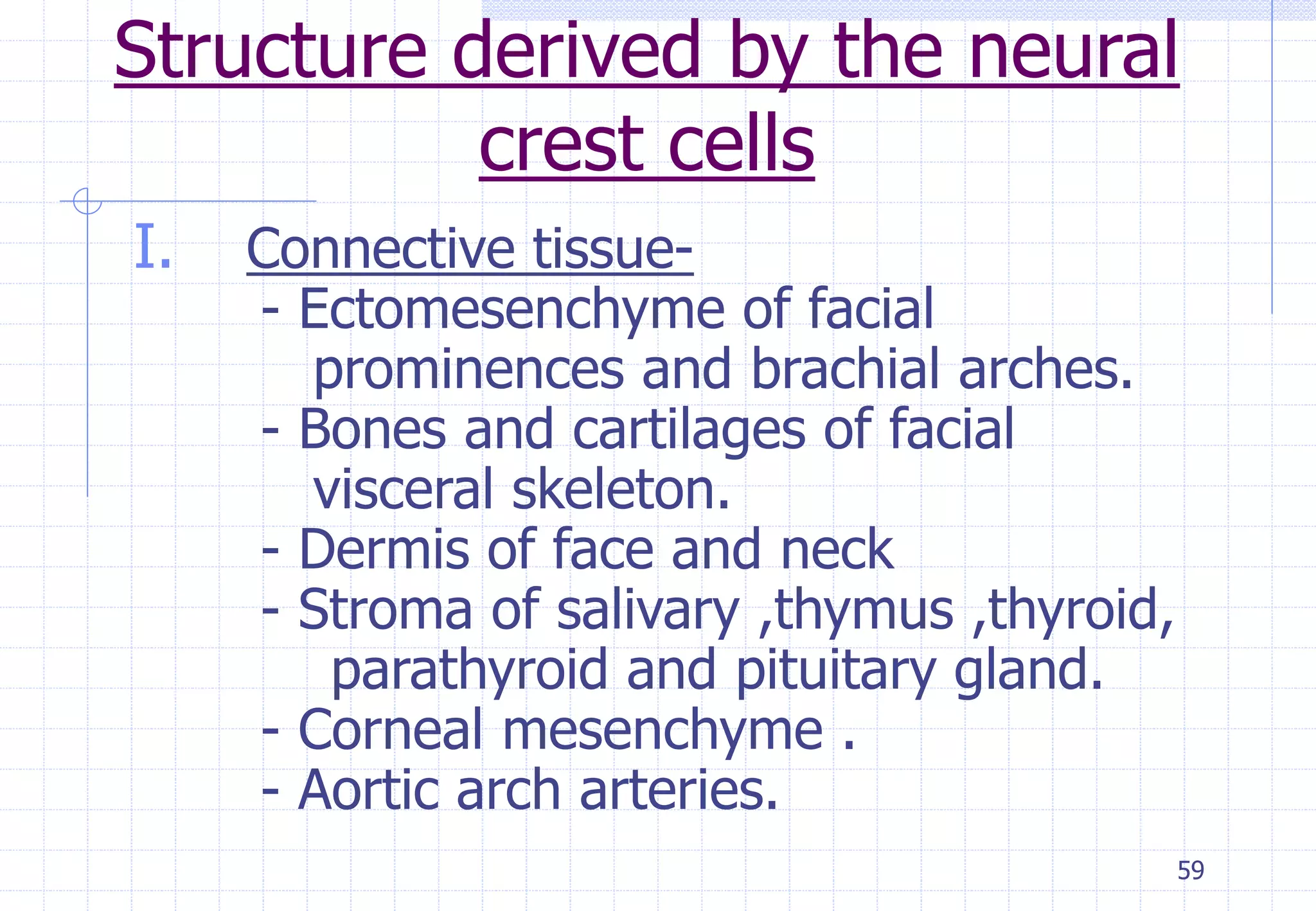 Neural Crest Cells - 1.ppt