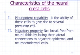 Neural Crest Cells - 1.ppt