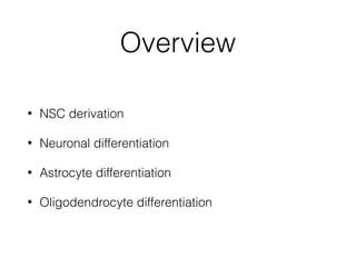 Neural Differentiation | PDF