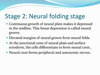 Neural Induction in human brain: principles and processes | PPTX