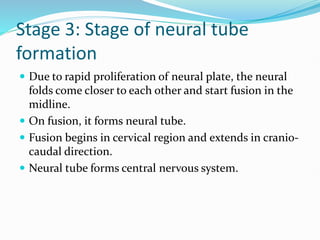 Neural Induction in human brain: principles and processes | PPTX
