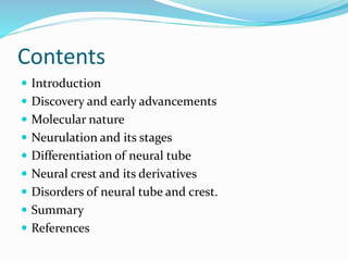 Neural Induction in human brain: principles and processes | PPTX