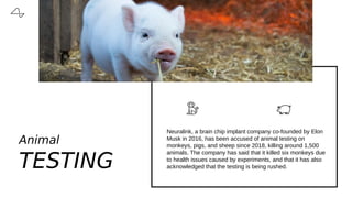 Neuralink technology which was about the inserting chips in brain | PPT