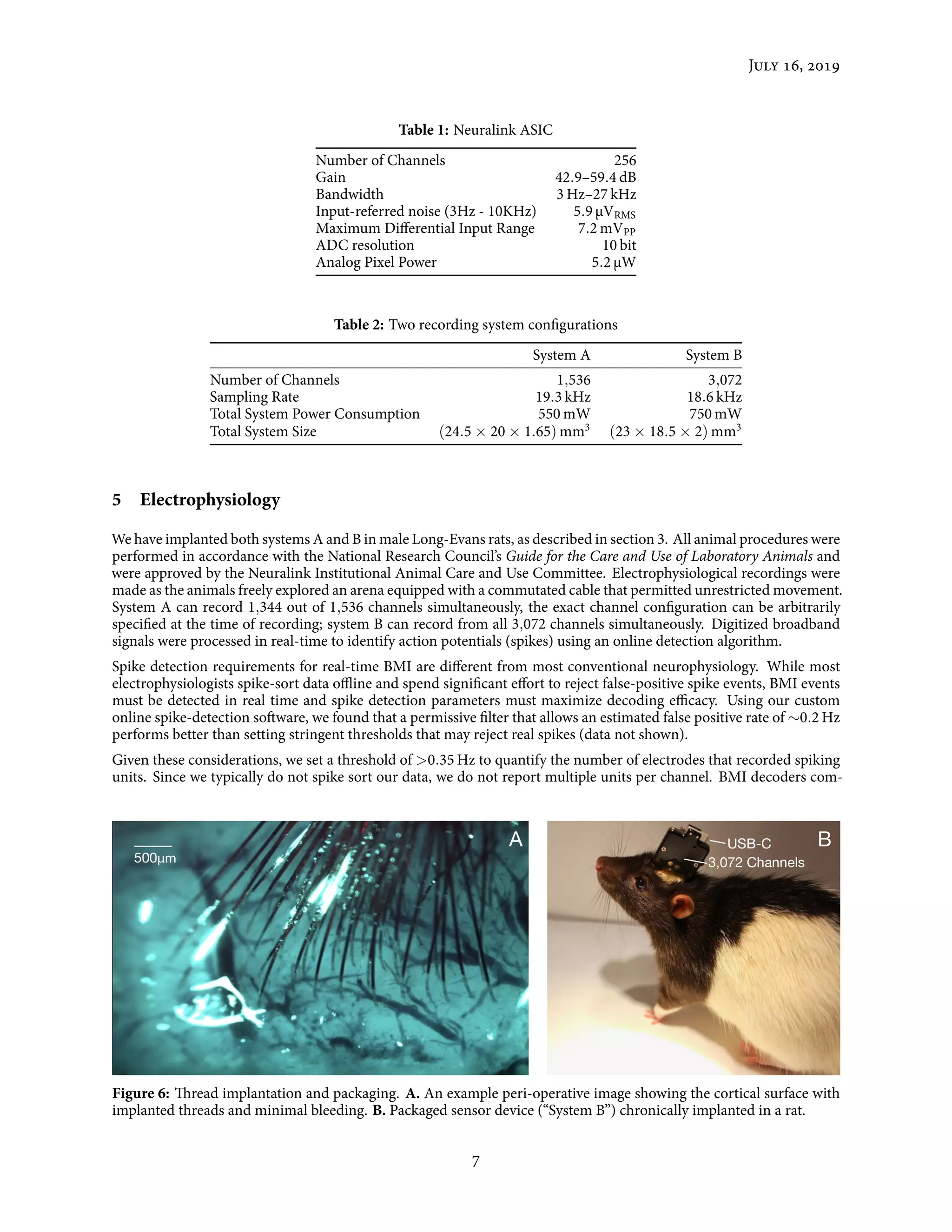 Neuralink white-paper. Elon Musk & Neuralink | PDF