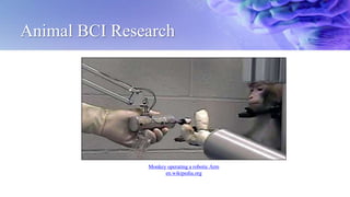 Neuralink_seminar.pptx