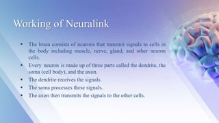 Neuralink_seminar.pptx