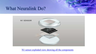 Neuralink_seminar.pptx