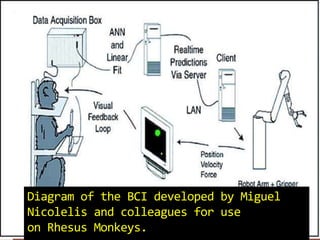 neuralinterfacing-130331081952-phpapp01.pdf