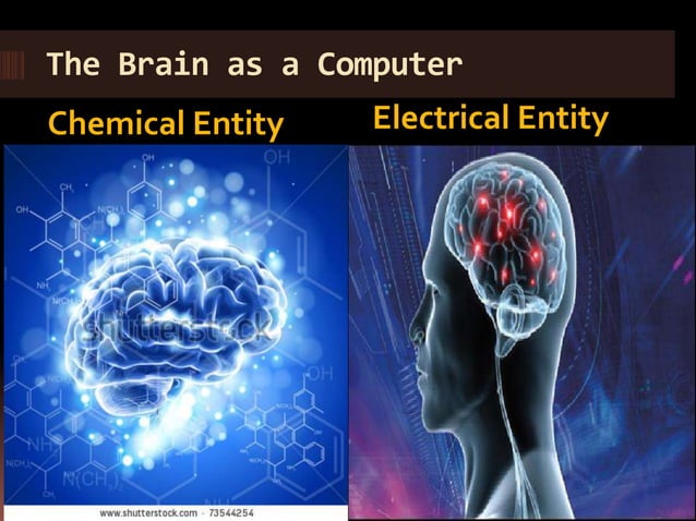 Neural interfacing | PPTX
