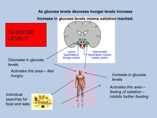 Eating: Neural mechanisms of eating A2 | PPT