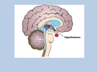 Eating: Neural mechanisms of eating A2 | PPTX