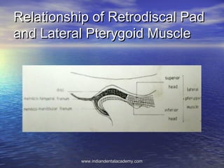 Neural mechnism and physiologic basis /certified fixed orthodontic ...